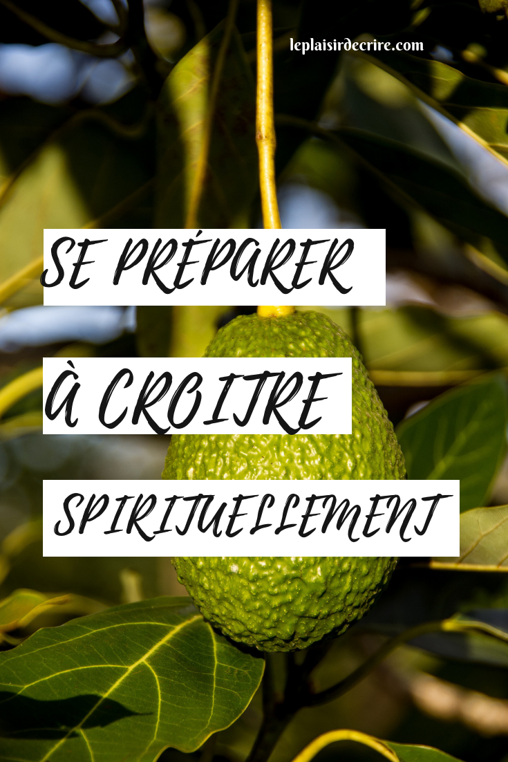 Comment se préparer à une croissance spirituelle extraordinaire